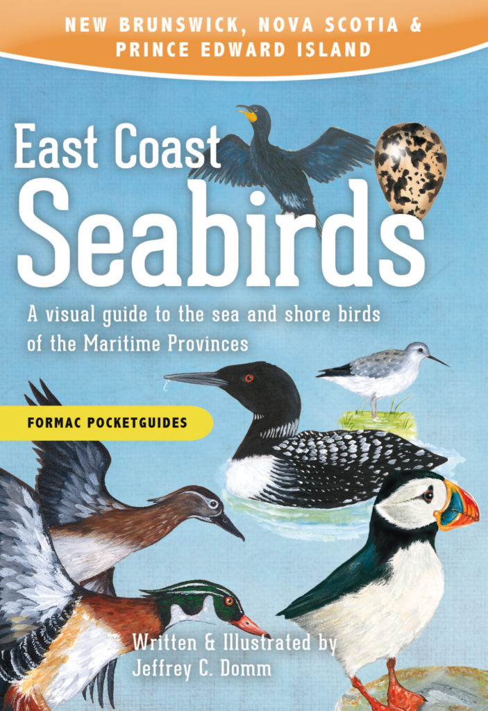 East Coast Seabirds - Formac